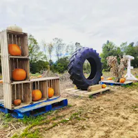 Your Guide to the Best Fall Pumpkin Patches and Corn Mazes!